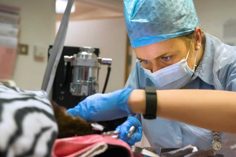 Certificate holders & Advanced Practitioner